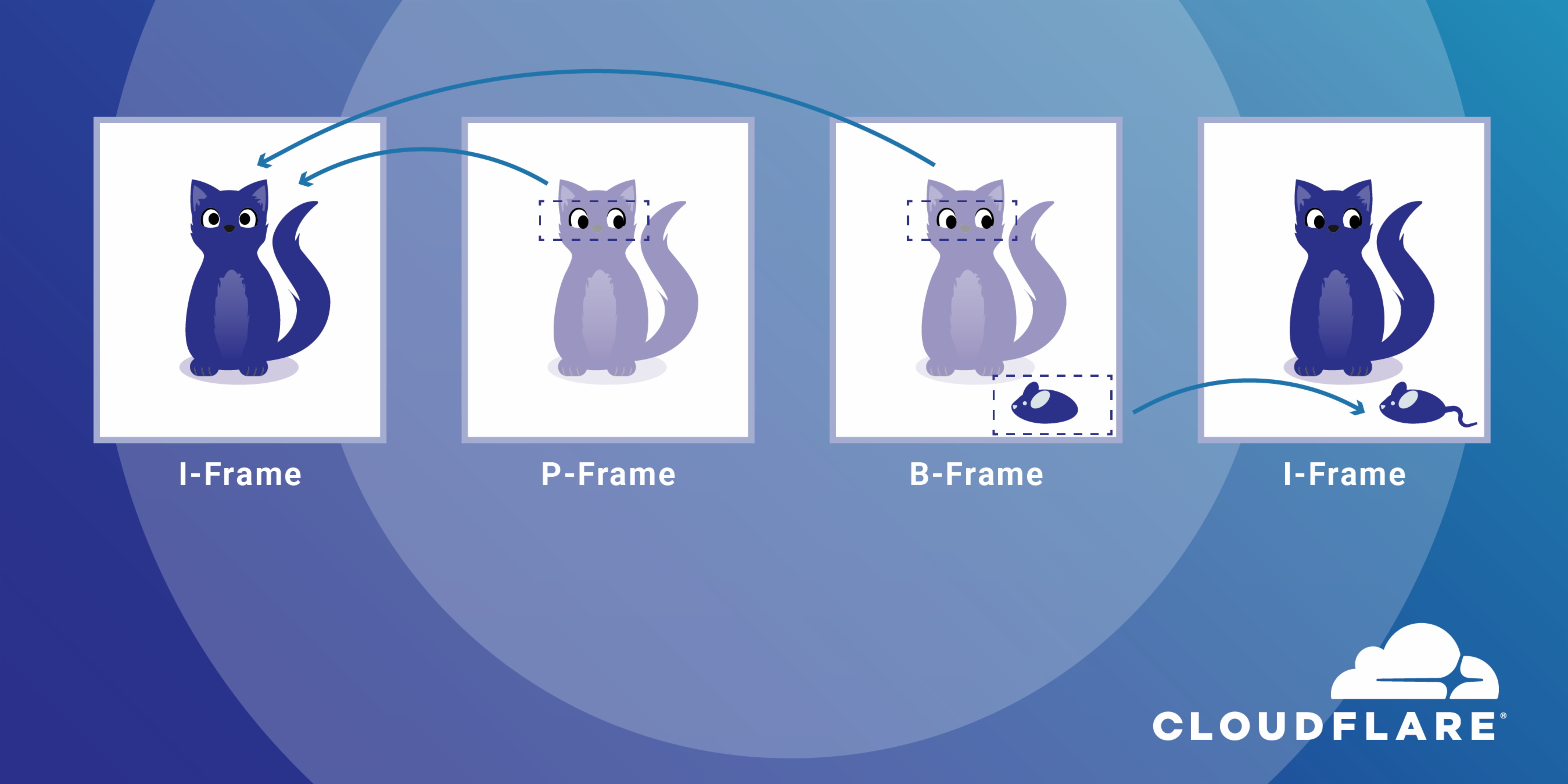 Making Video Intuitive: An Explainer